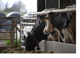 YouDairy Feature from British Dairying